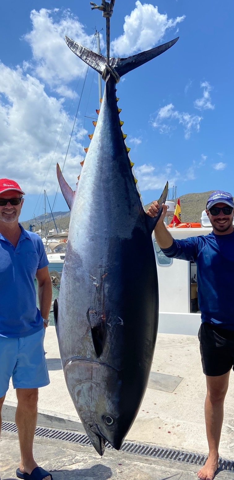 Storing and Freezing Tuna in Cold Storage Containers - hire and sale